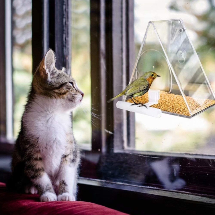 Acrylic Bird Cage Transparent Pet Box Triangle Bird Feeder - Buy Online ...
