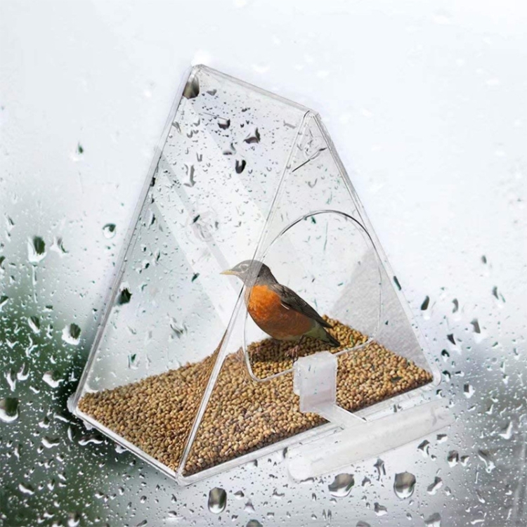 Acrylic Bird Cage Transparent Pet Box Triangle Bird Feeder - Buy Online ...
