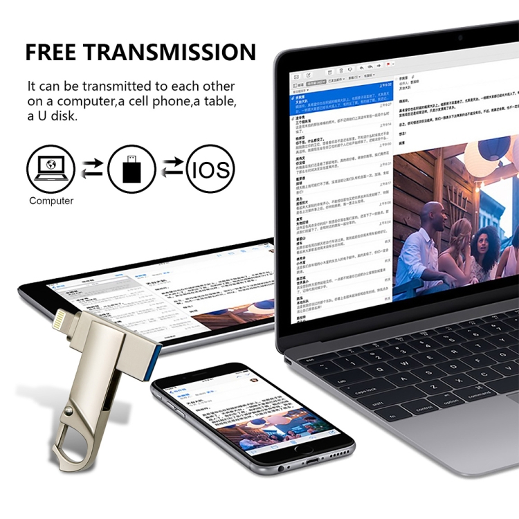 RQW-10F 2 in 1 USB 2.0 & 8 Pin 16GB Keychain Flash Drive - Buy Online ...