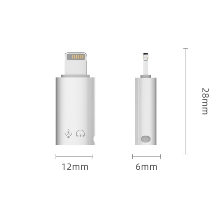 8 Pin to USB-C / Type-C OTG Adapter - Buy Online at Best Price in UAE ...
