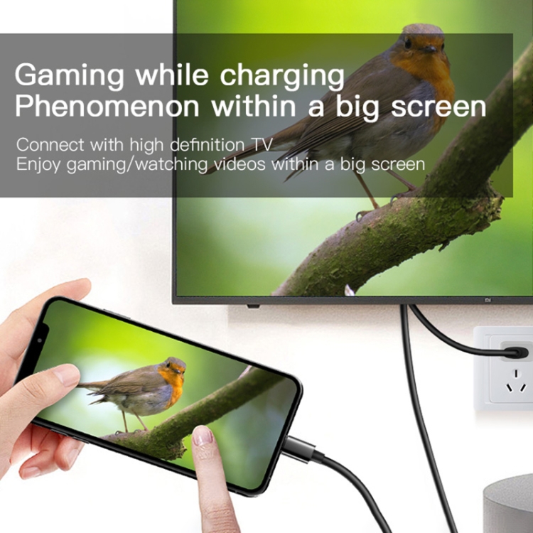 Yesido HM04 8 Pin to HDMI Adapter Cable - Buy Online at Best Price in ...