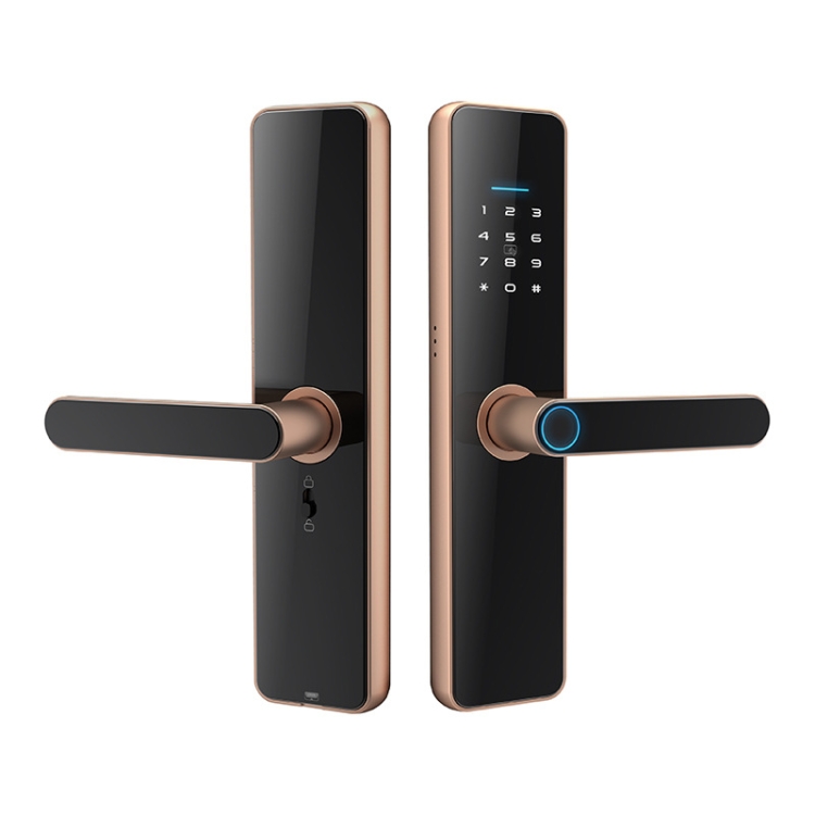 C91 Tuya Smart WiFi Password Fingerprint Electronic Door Lock - Buy Online at Best Price in UAE ...