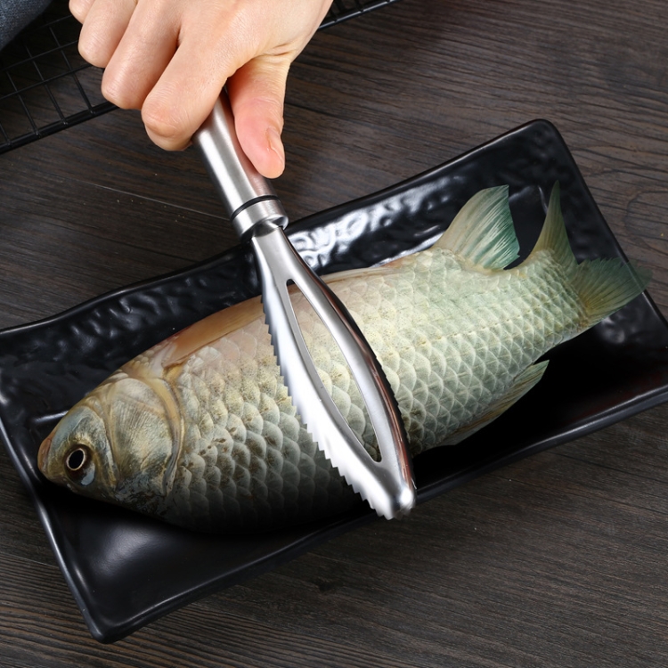 Stainless Steel Fish Scale Planer Household Hand-held Fish Scale ...